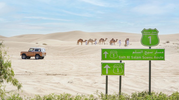 Dubai Unveils Scenic Route and Rural Development Plans for 2040 – JobXDubai