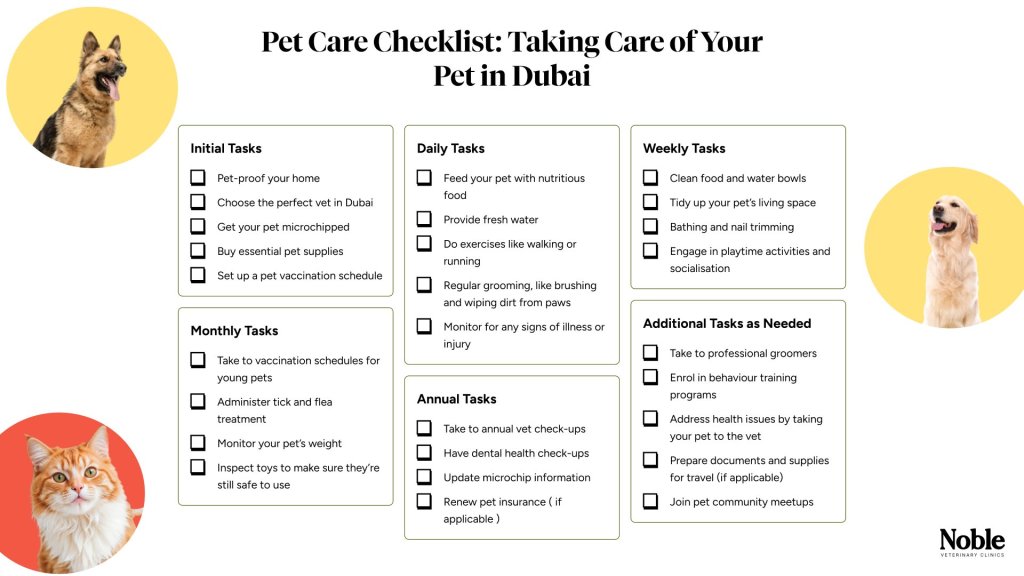 How to Take Care of Your Pet in Dubai: Nutrition, Health, and More ...