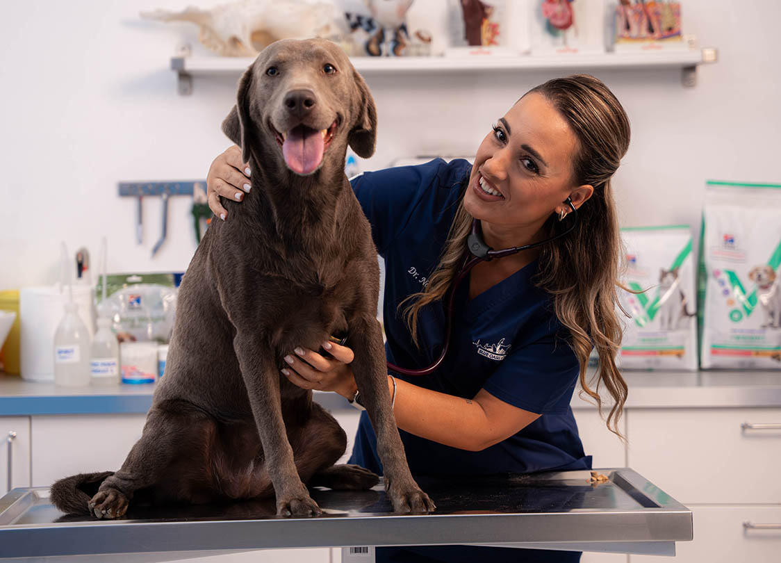 Vet Alliance – Reinventing Veterinary Care Across Dubai – JobXDubai